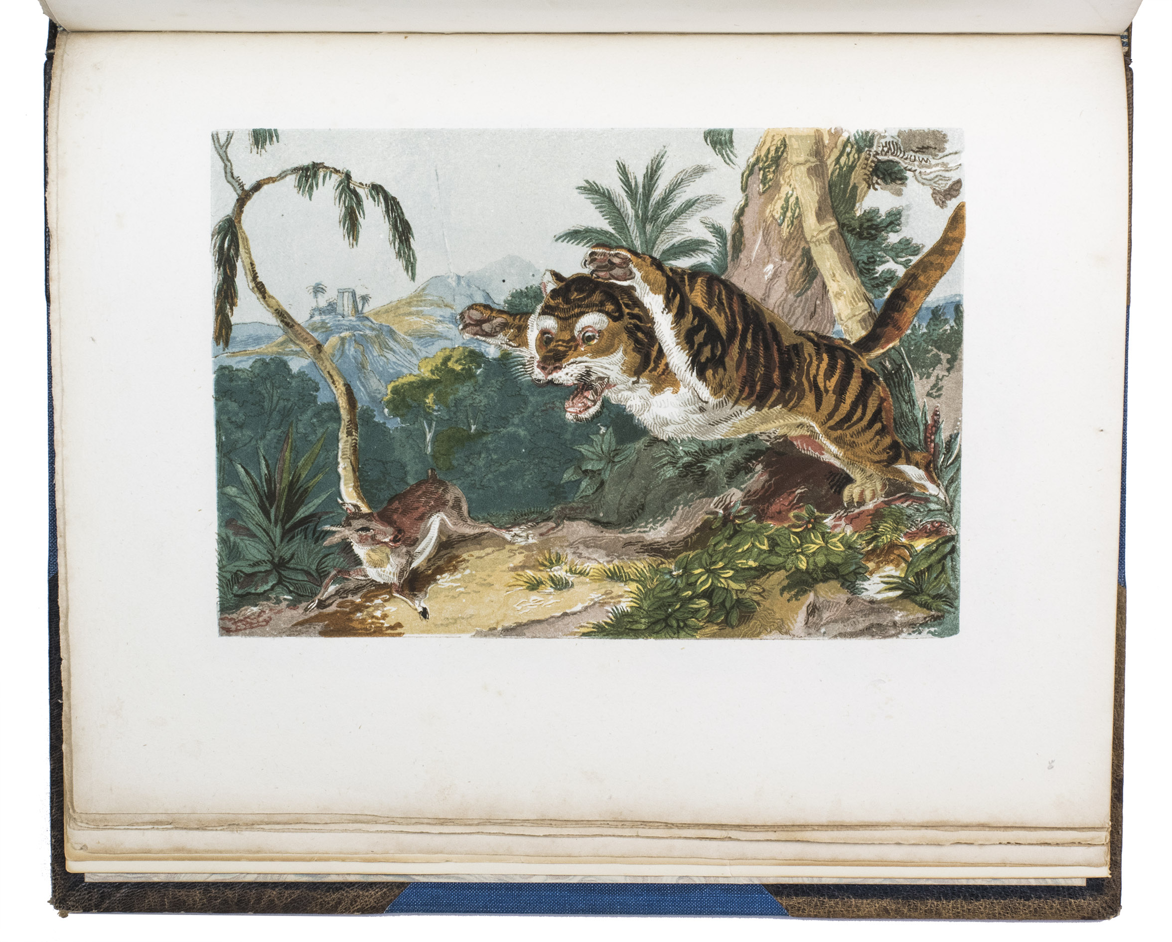 Pioneering work on colour printing, first and only edition, signed by ...